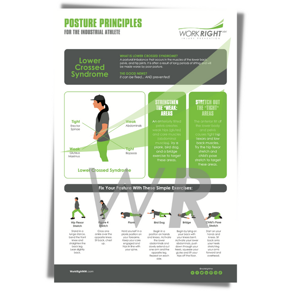 Posture Principles – Lower Crossed Syndrome – Equip Right